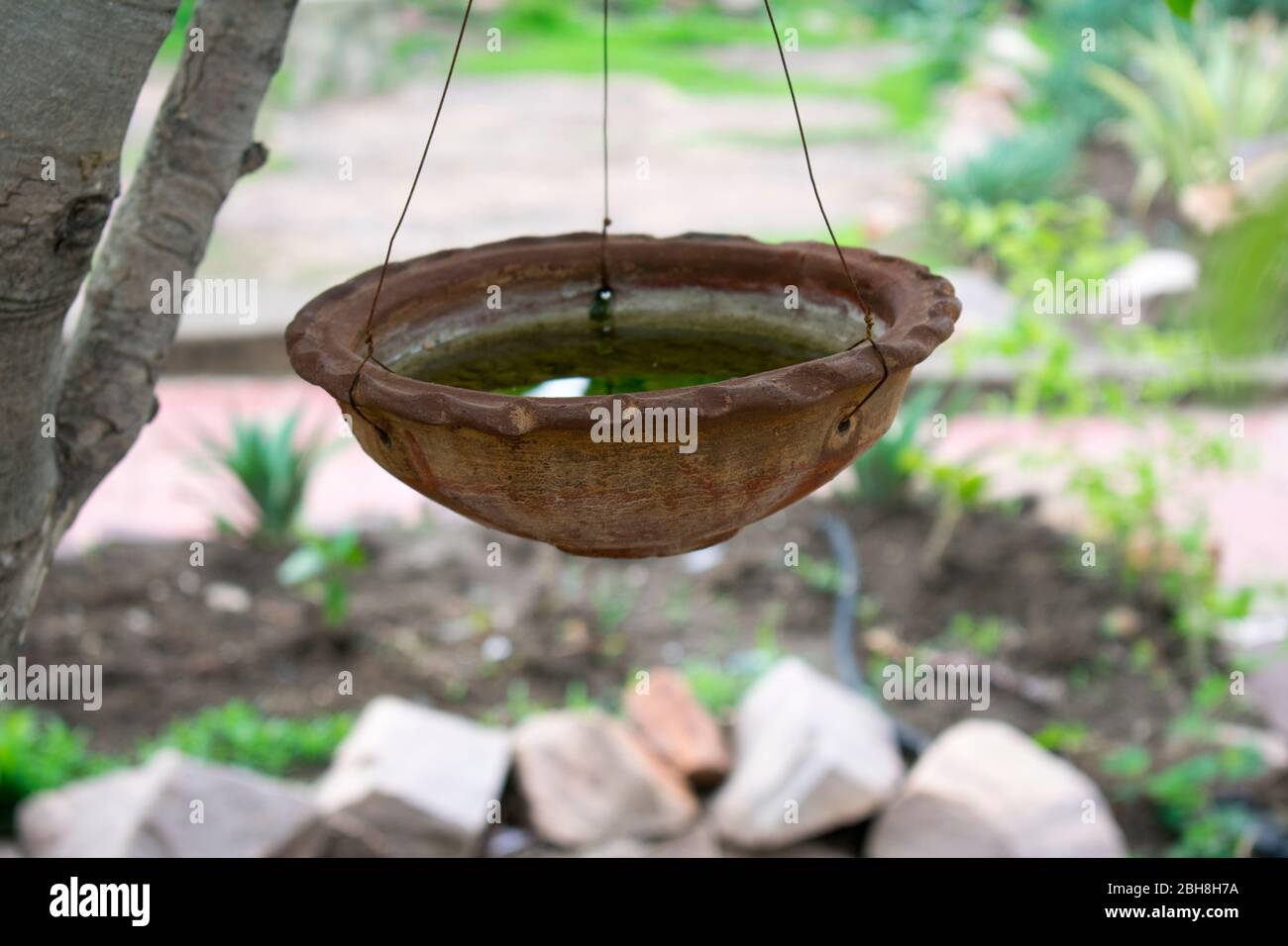 water in clay pot for birds in hot summer Stock Photo - Alamy