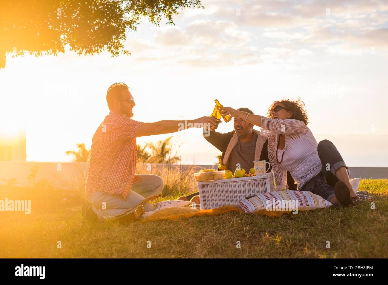 Group of friends people in outdoor leisure activity clinking with some ...