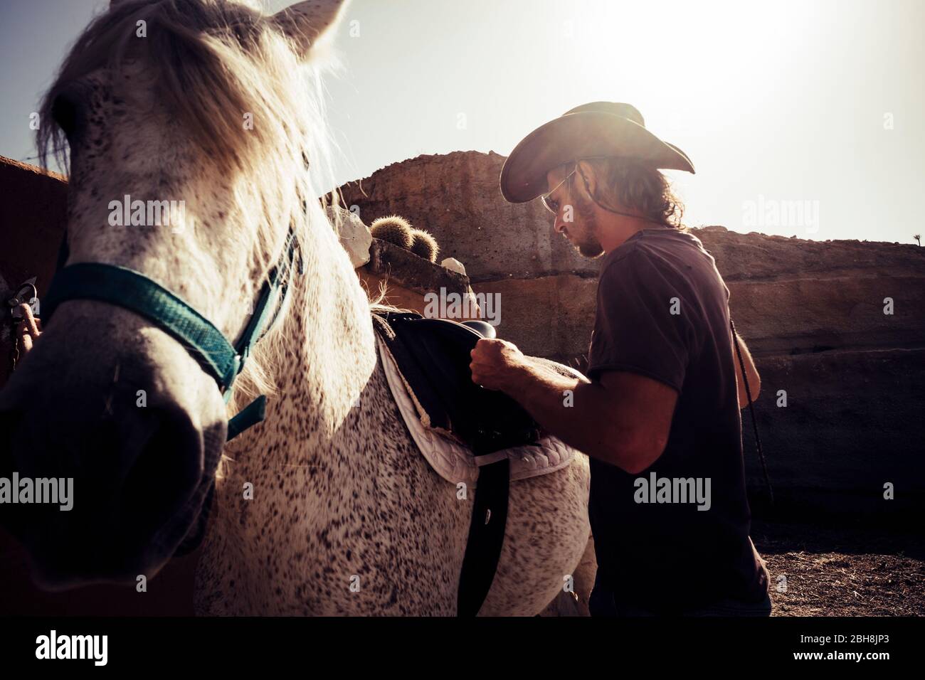 beautiful cowboy scene with mountains on the background and backlight ...