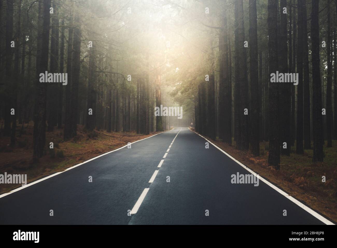 Car driving front end view hi-res stock photography and images - Alamy