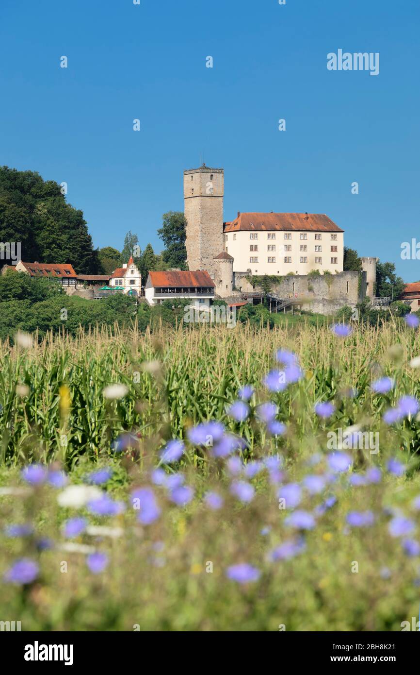 Castle guttenberg at gundelsheim hi-res stock photography and images ...