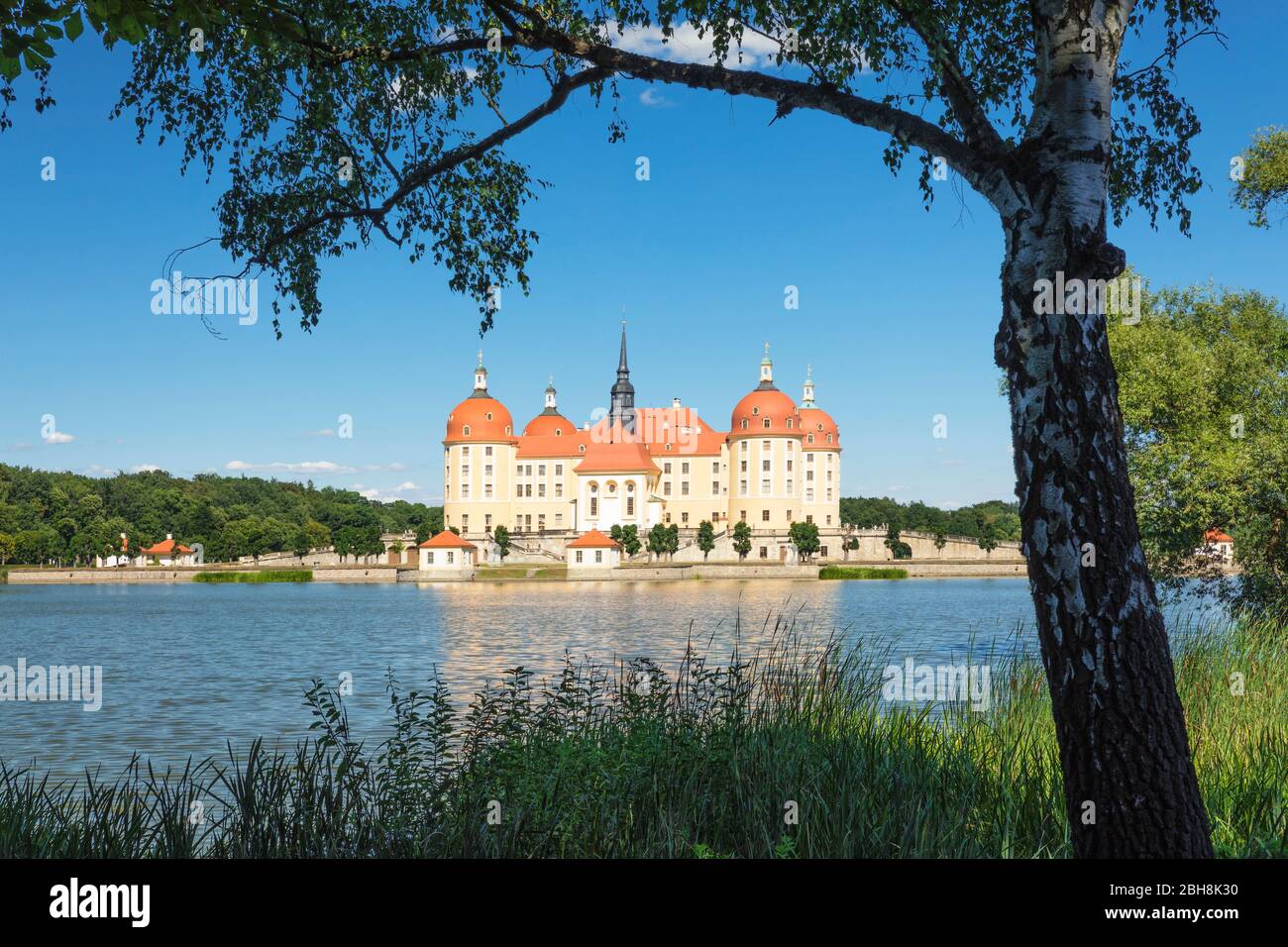 Castle Moritzburg, Saxony, Germany Stock Photo - Alamy