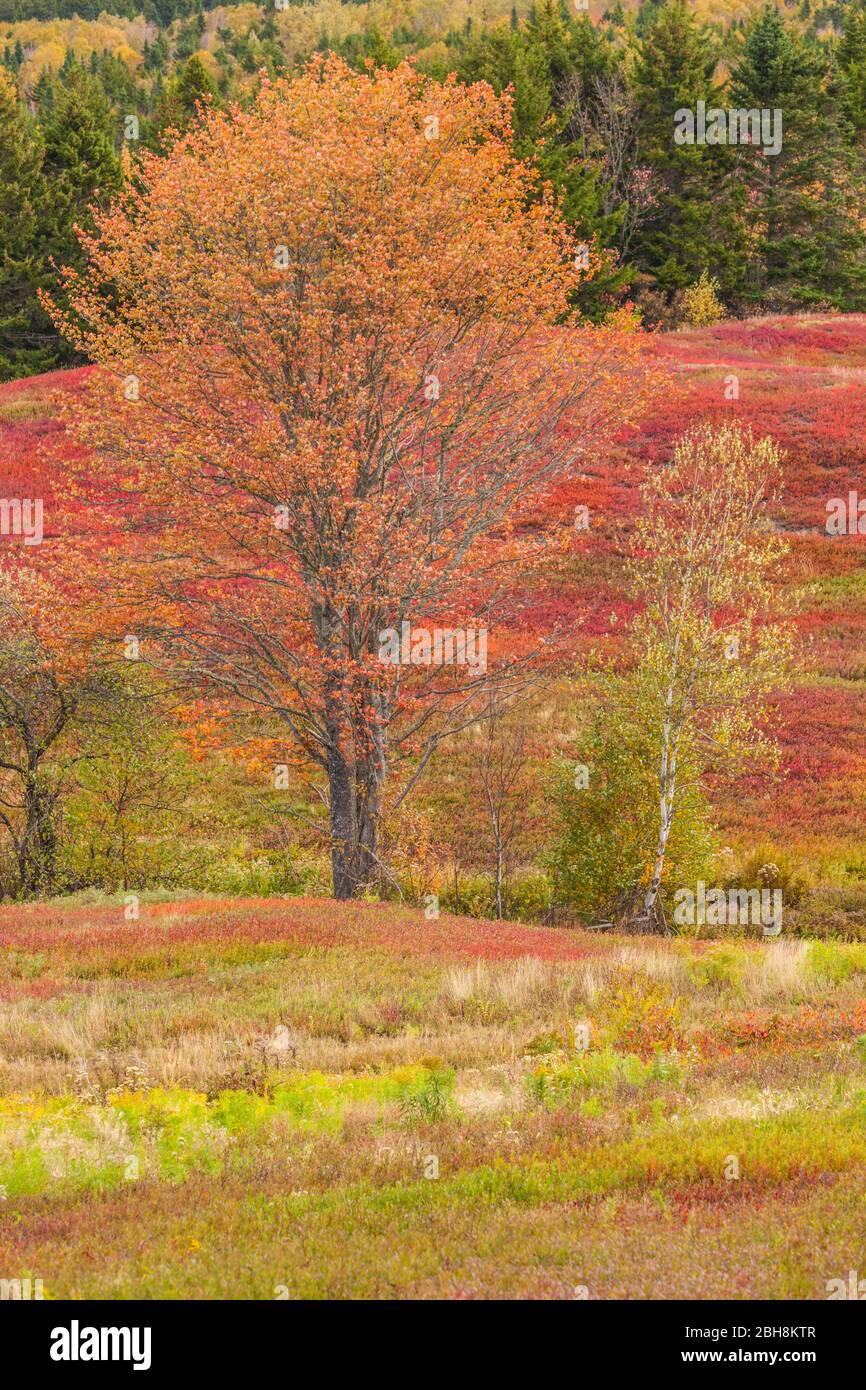 Salem fields hi-res stock photography and images - Alamy