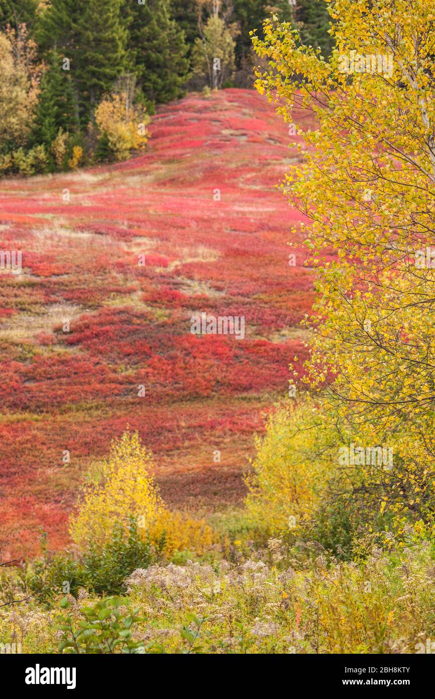 Salem fields hi-res stock photography and images - Alamy