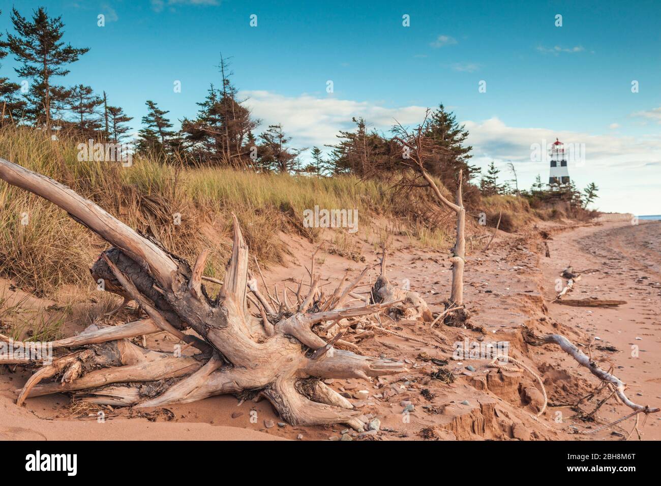 West point lighthouse pei hi-res stock photography and images - Alamy