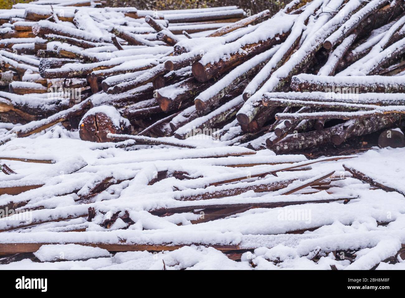 Blackville High Resolution Stock Photography and Images - Alamy