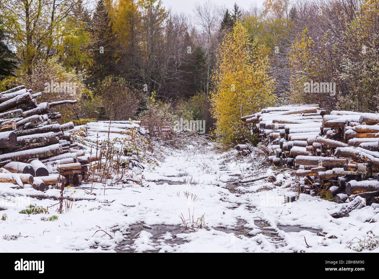 Miramichi river new brunswick hi-res stock photography and images - Alamy