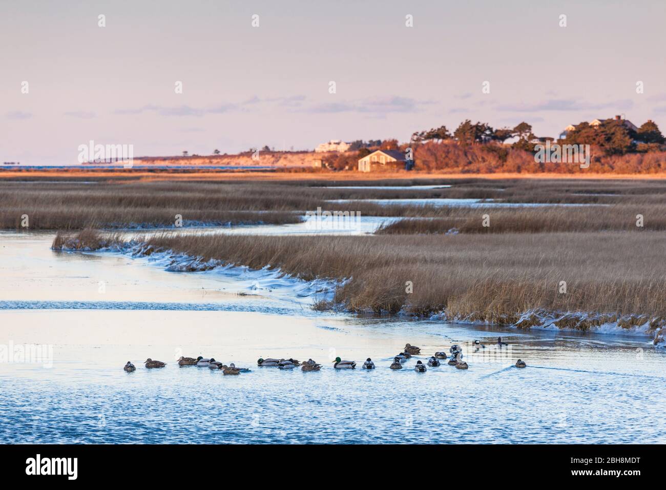 Harbor nantucket island hi-res stock photography and images - Alamy