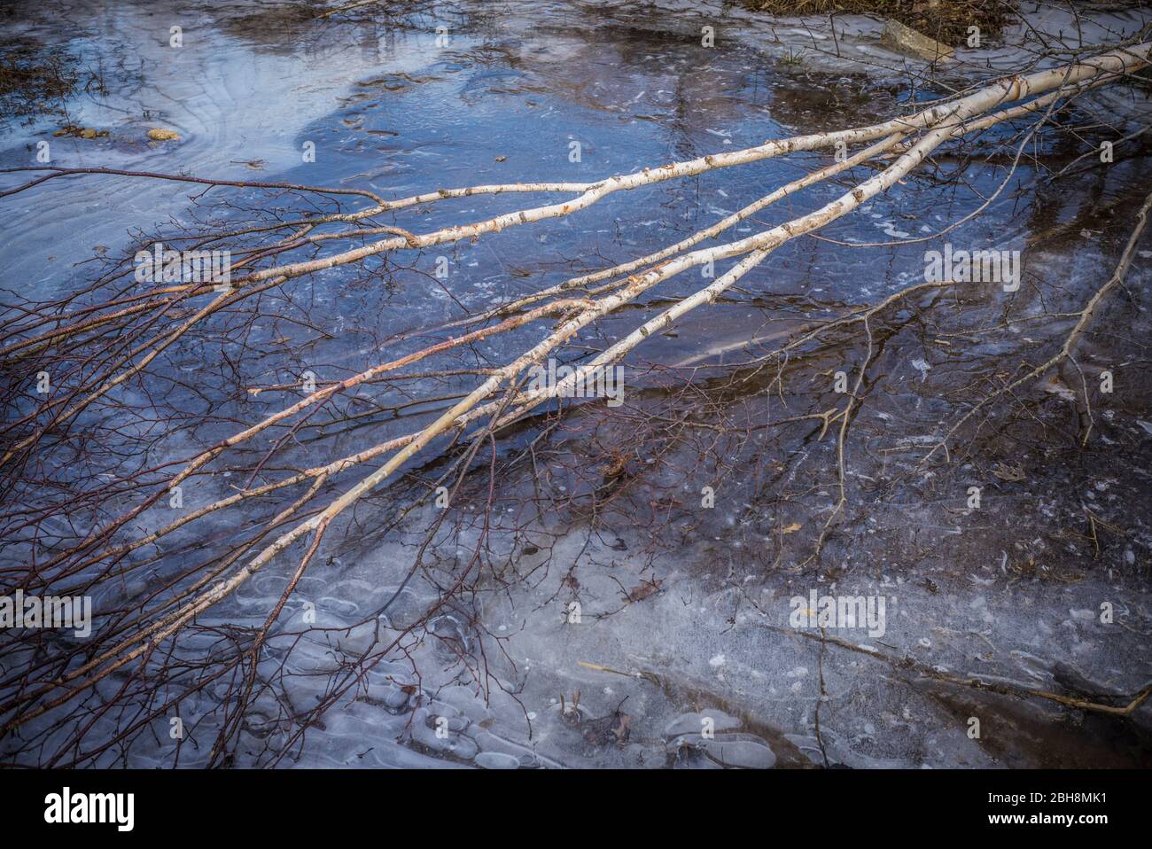 Settlement Pond High Resolution Stock Photography and Images - Alamy