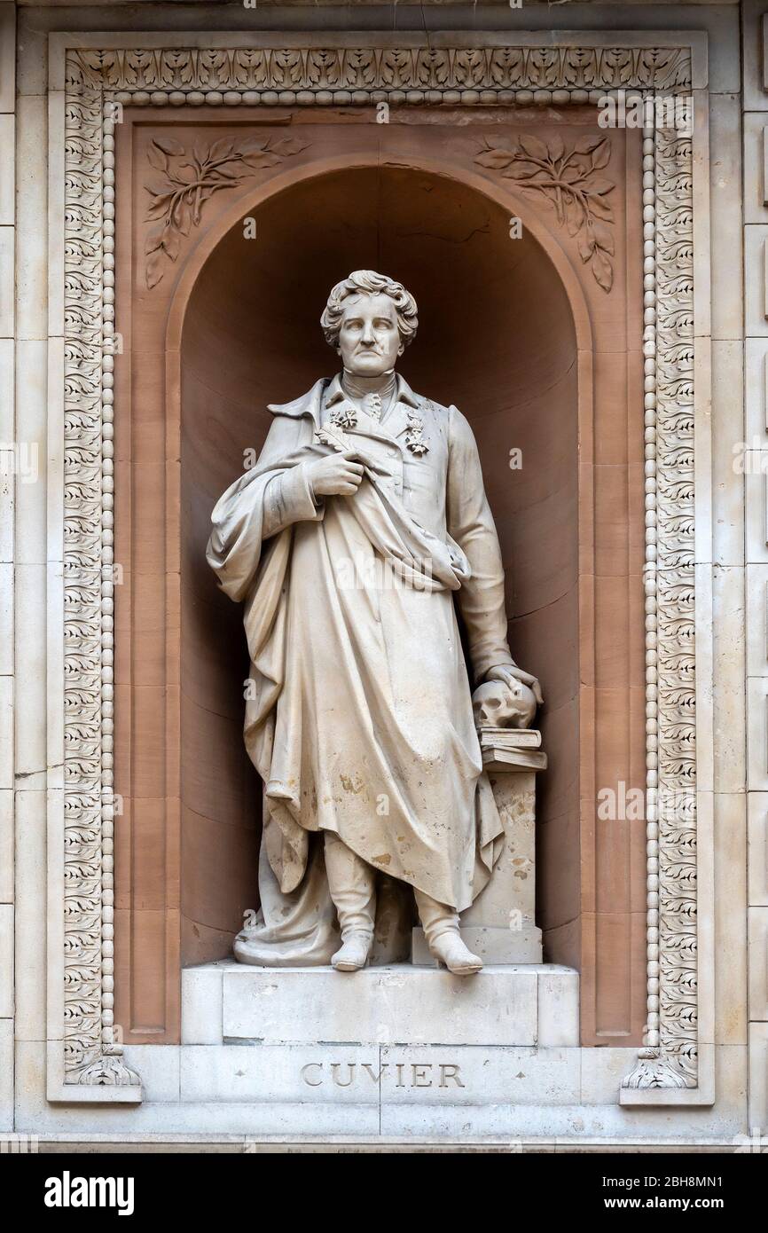 Georges Cuvier Statue High Resolution Stock Photography and Images - Alamy