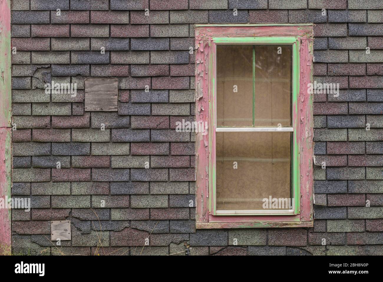 USA, Maine, Eastport, detail of shingled wall Stock Photo - Alamy