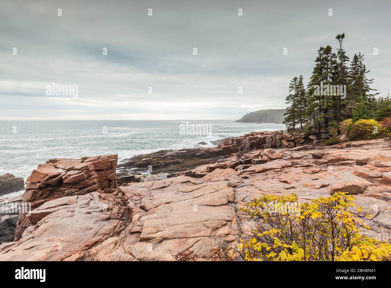 Thunder hole acadia maine hi-res stock photography and images - Alamy