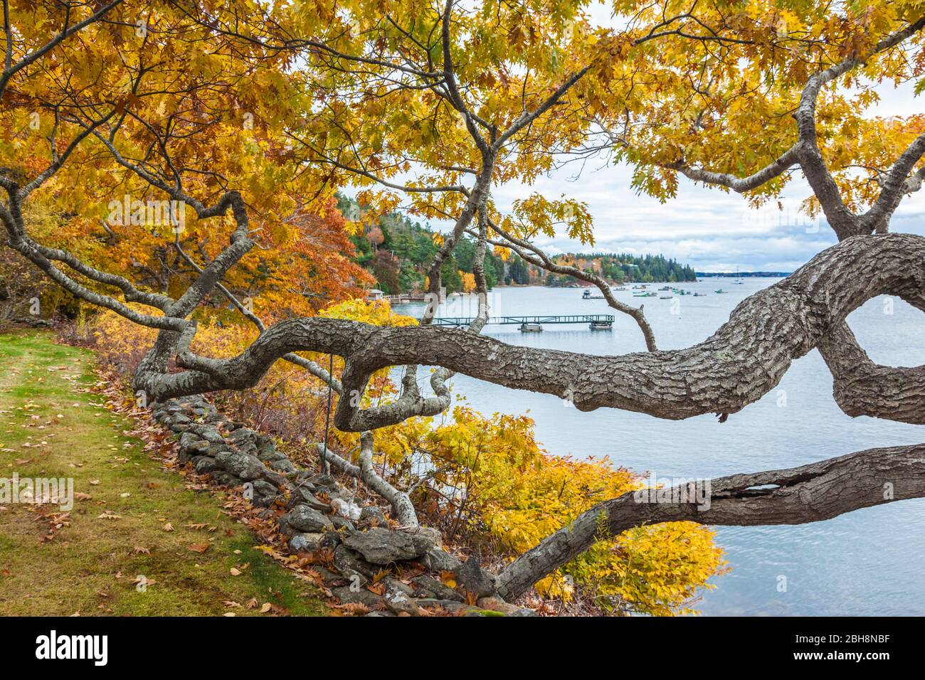 USA, Maine, Mt. Desert Island, Northeast Harbor, autumn foliage Stock ...