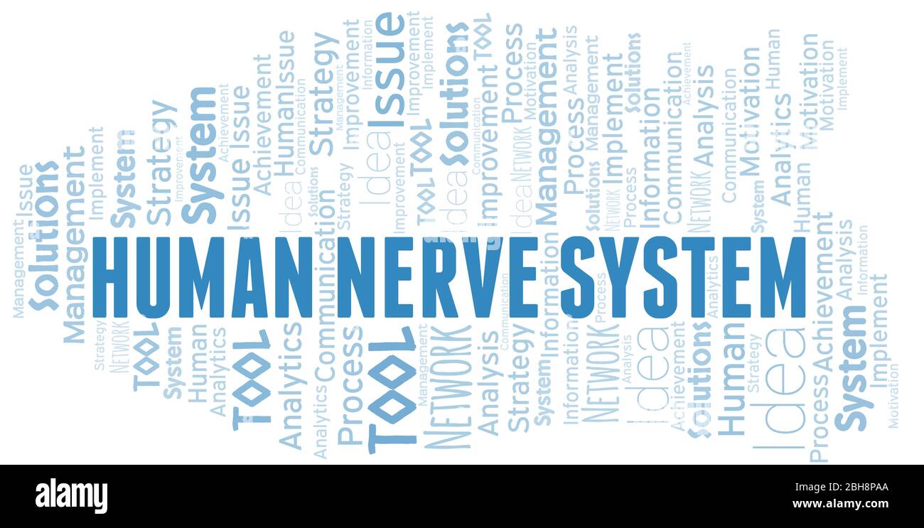 Human Nerve System typography vector word cloud. Wordcloud collage made ...