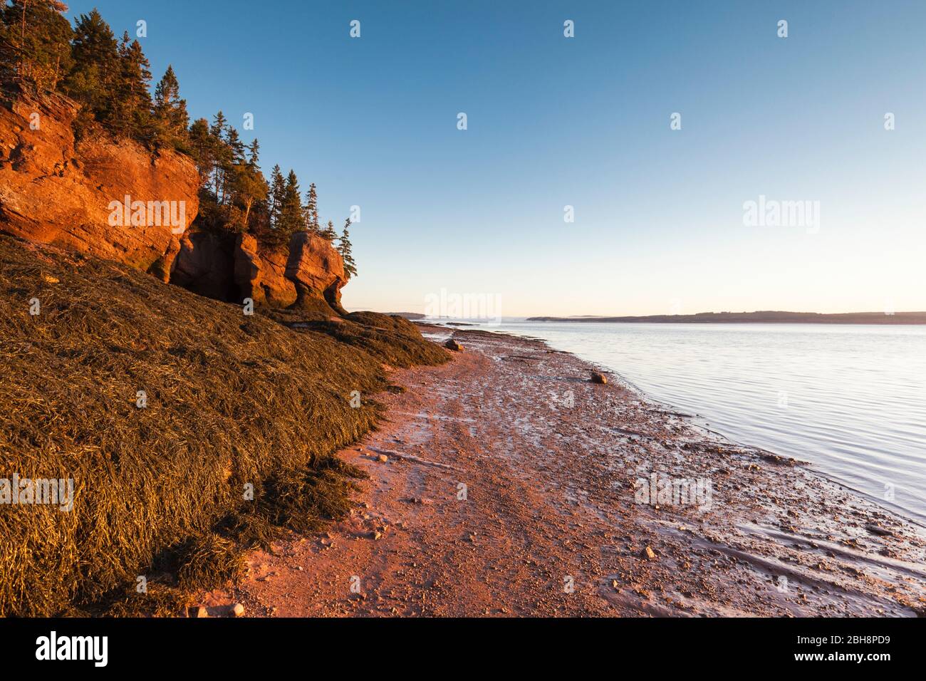 Canada, New Brunswick, Bay of Fundy, Hopewell Rocks, Flowerpot Rocks ...