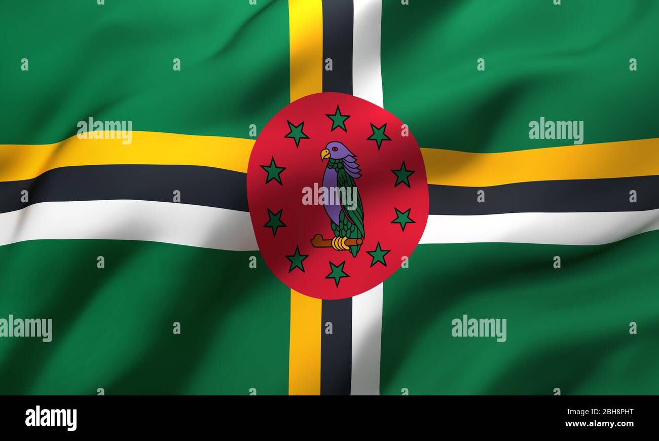 Flag of Dominica blowing in the wind. Full page Dominican flying flag ...