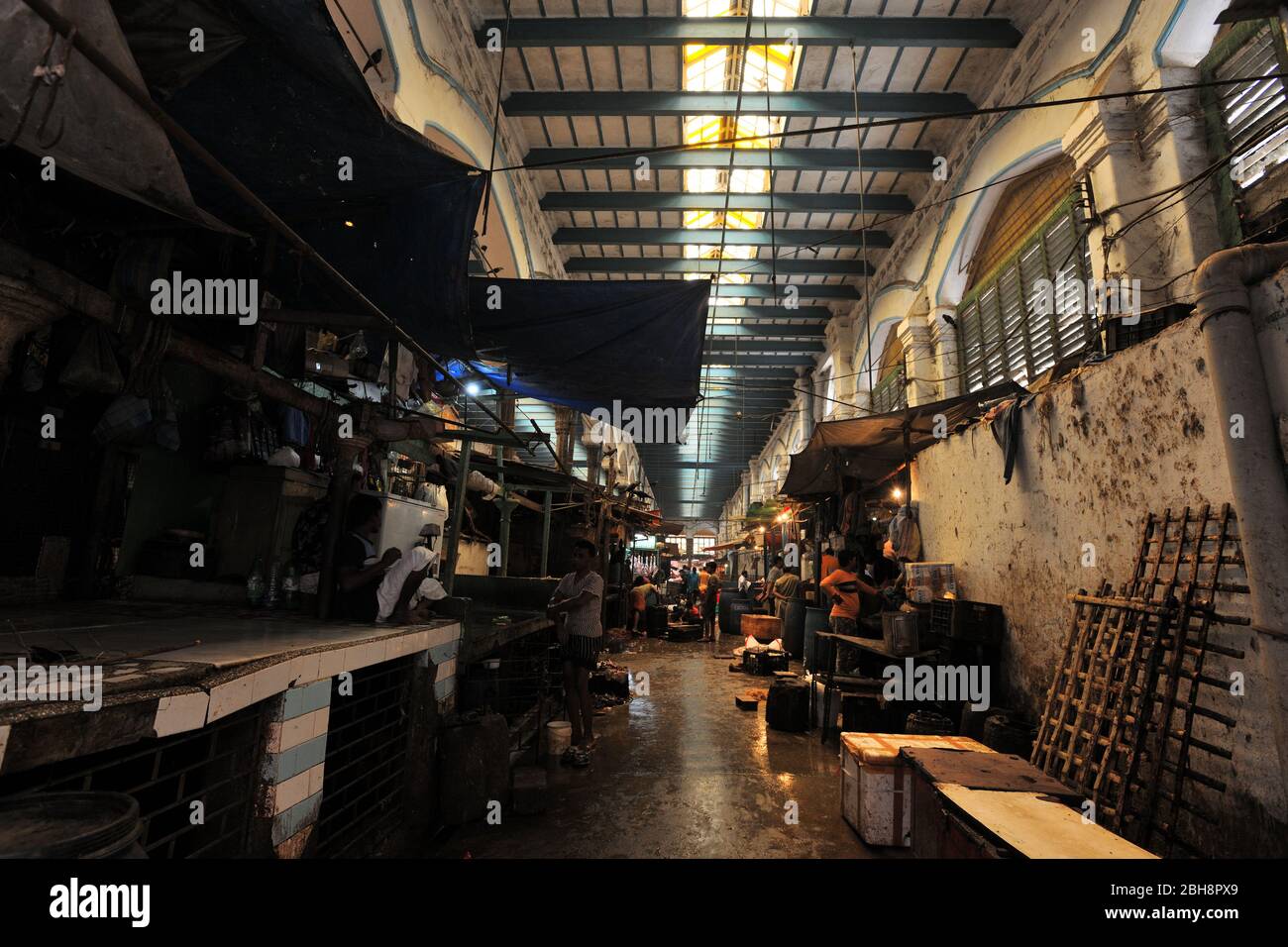 Hogg market hi-res stock photography and images - Alamy