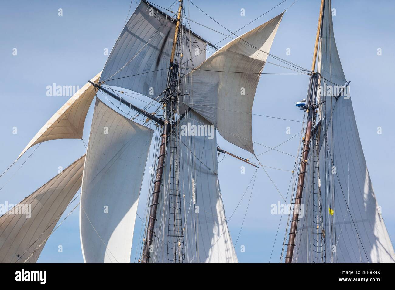 USA, New England, Massachusetts, Cape Ann, Gloucester, Gloucester Schooner Festival, schooner ...