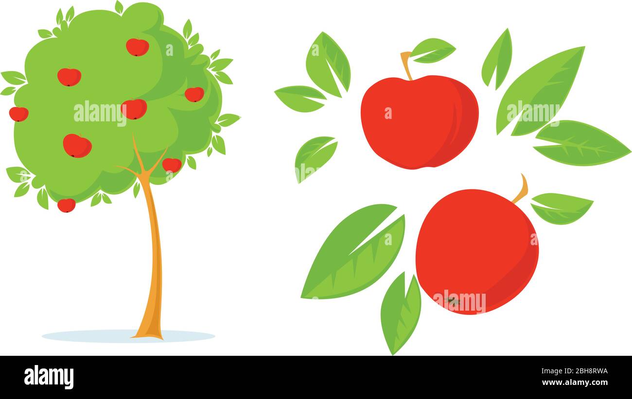 Apple Tree - Flat Design Illustration With Apple, Leaves And Tree Stock ...