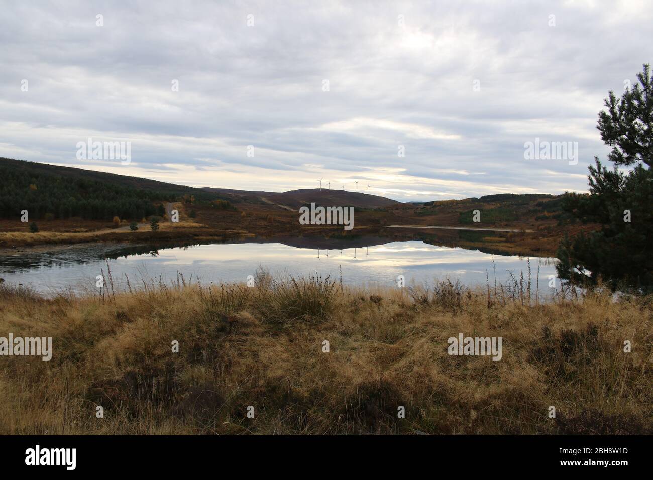 Loch Comhnard in RSPB Corrimony, Scotish Highlands, Scotland, UK Stock ...
