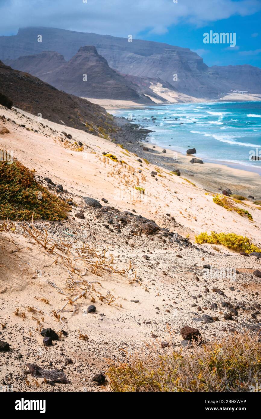 Stunning desolate landscape of sand dunes and desert plants in front of ...