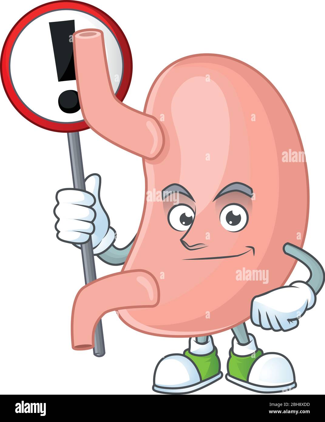 A picture of stomach cartoon character concept holding a sign Stock ...