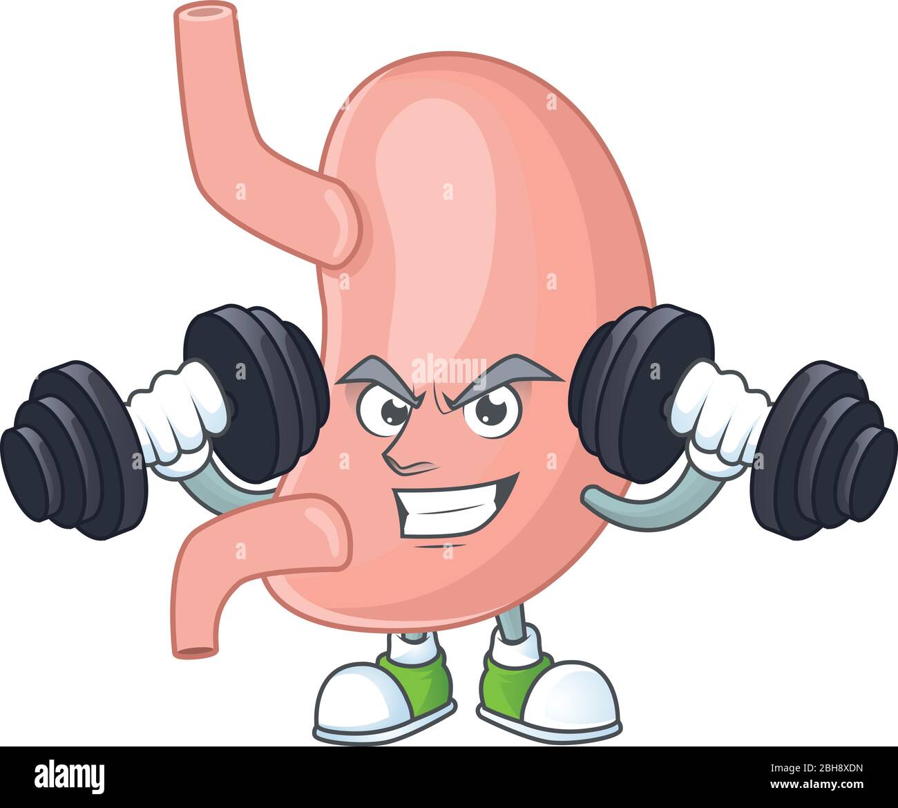 Fitness exercise stomach cartoon character using barbells Stock Vector ...
