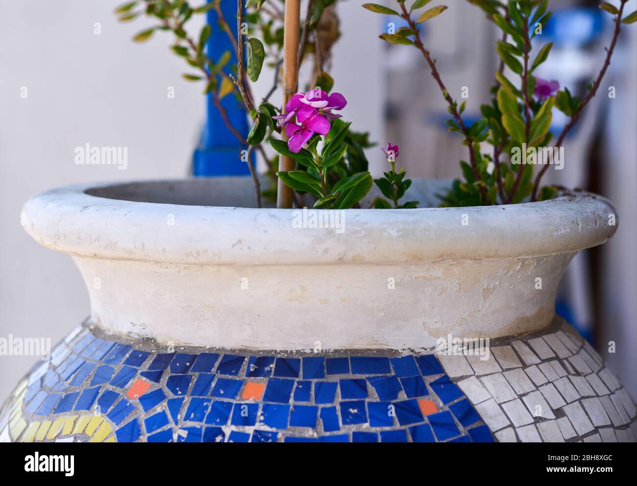 Typical greek vase hi-res stock photography and images - Alamy