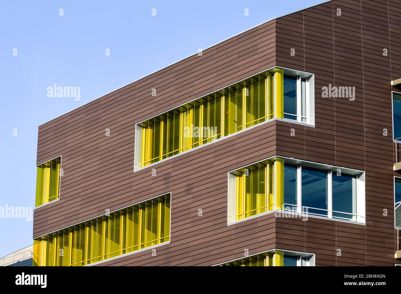 Colorful yellow windows in a modern architecture building. Windows ...