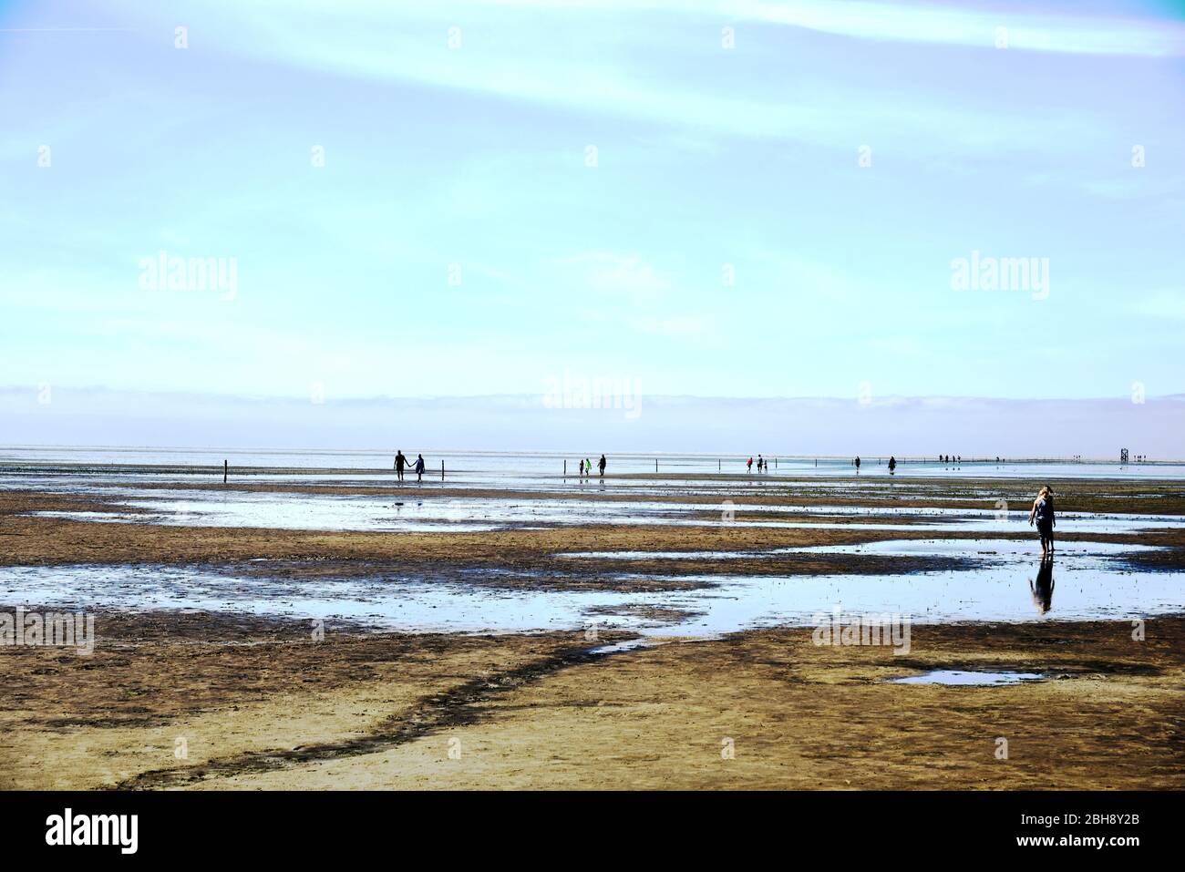 Europe, Germany, Schleswig-Holstein, North Frisia, Eiderstedt, North ...