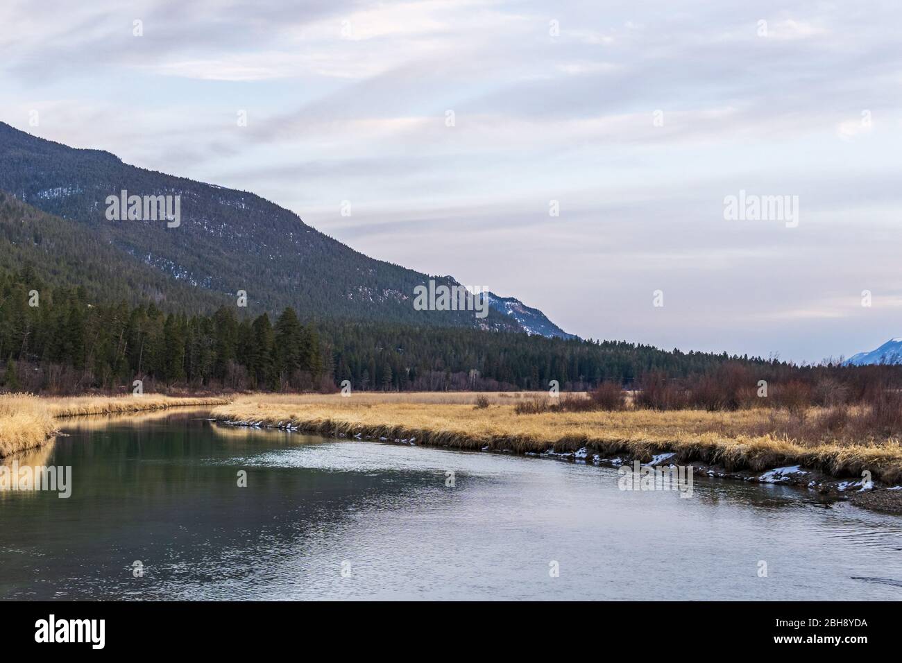 Beautiful fairmont creek in canadian rocky mountains spring Regional ...