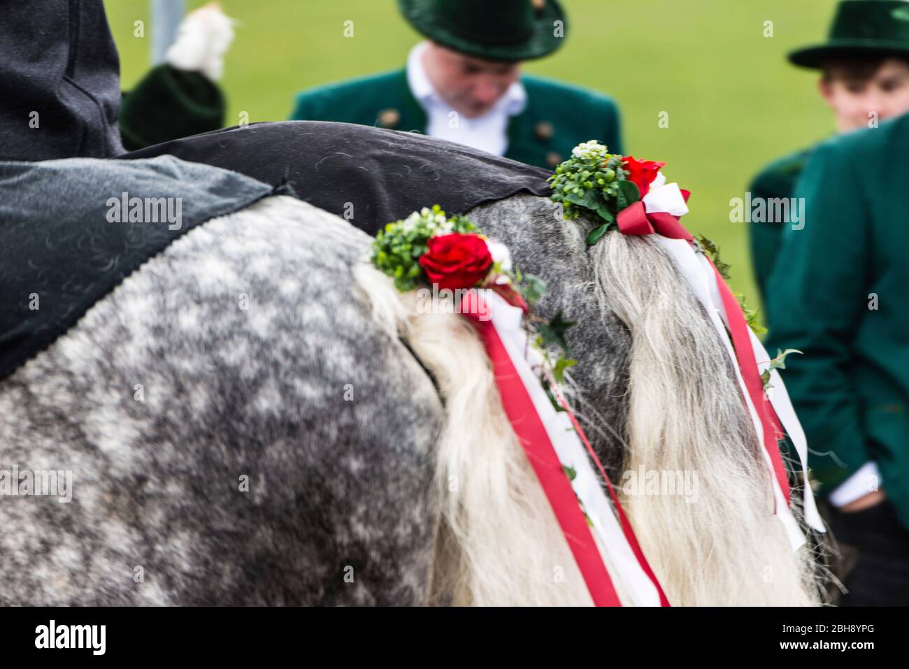 decorated horses, pilgrimage Stock Photo - Alamy