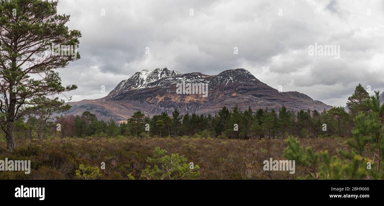 View of Slioch mountain from Beinn Eighe National Nature Reserve in the ...