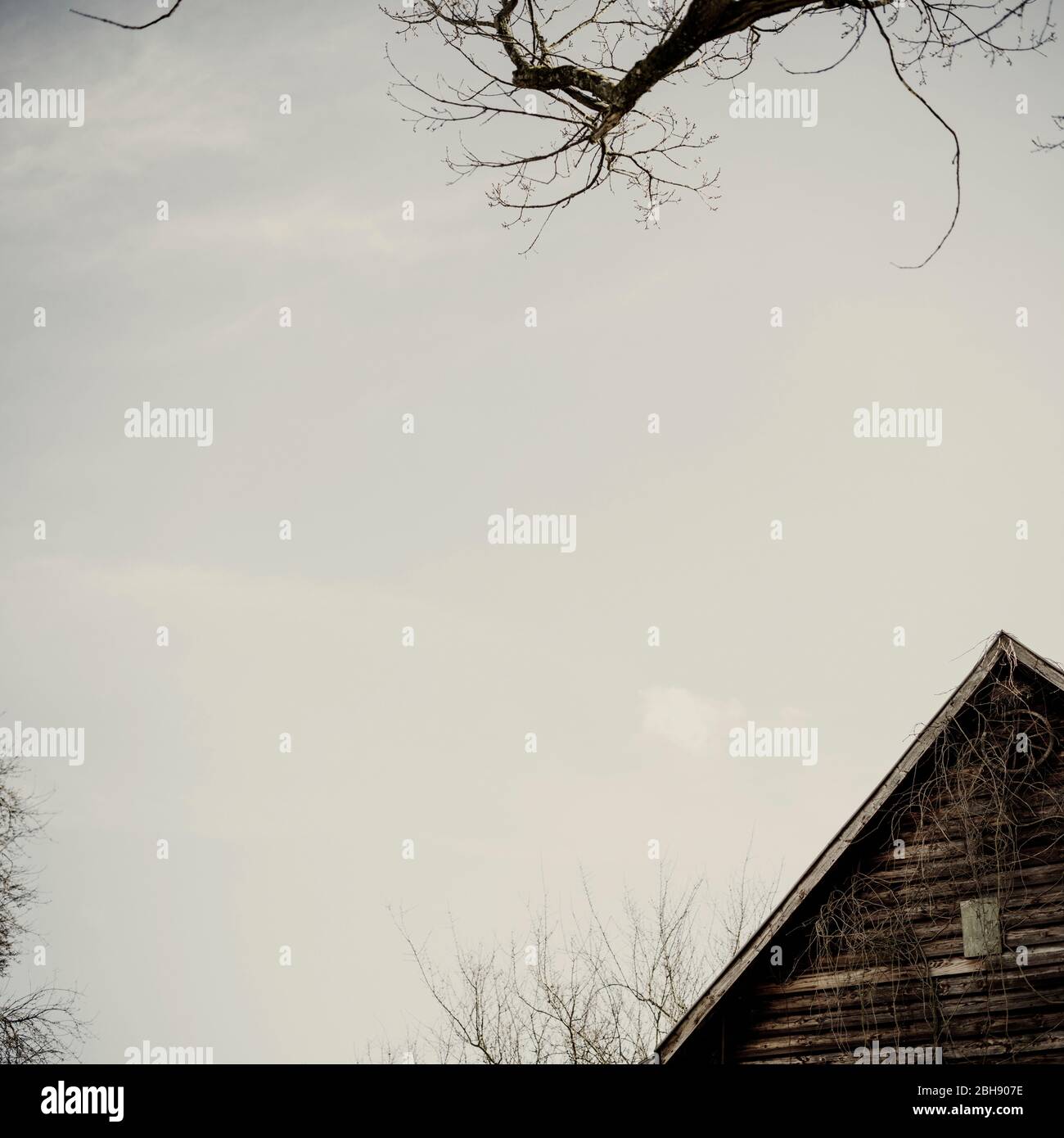 House Rooftop Tree High Resolution Stock Photography and Images - Alamy