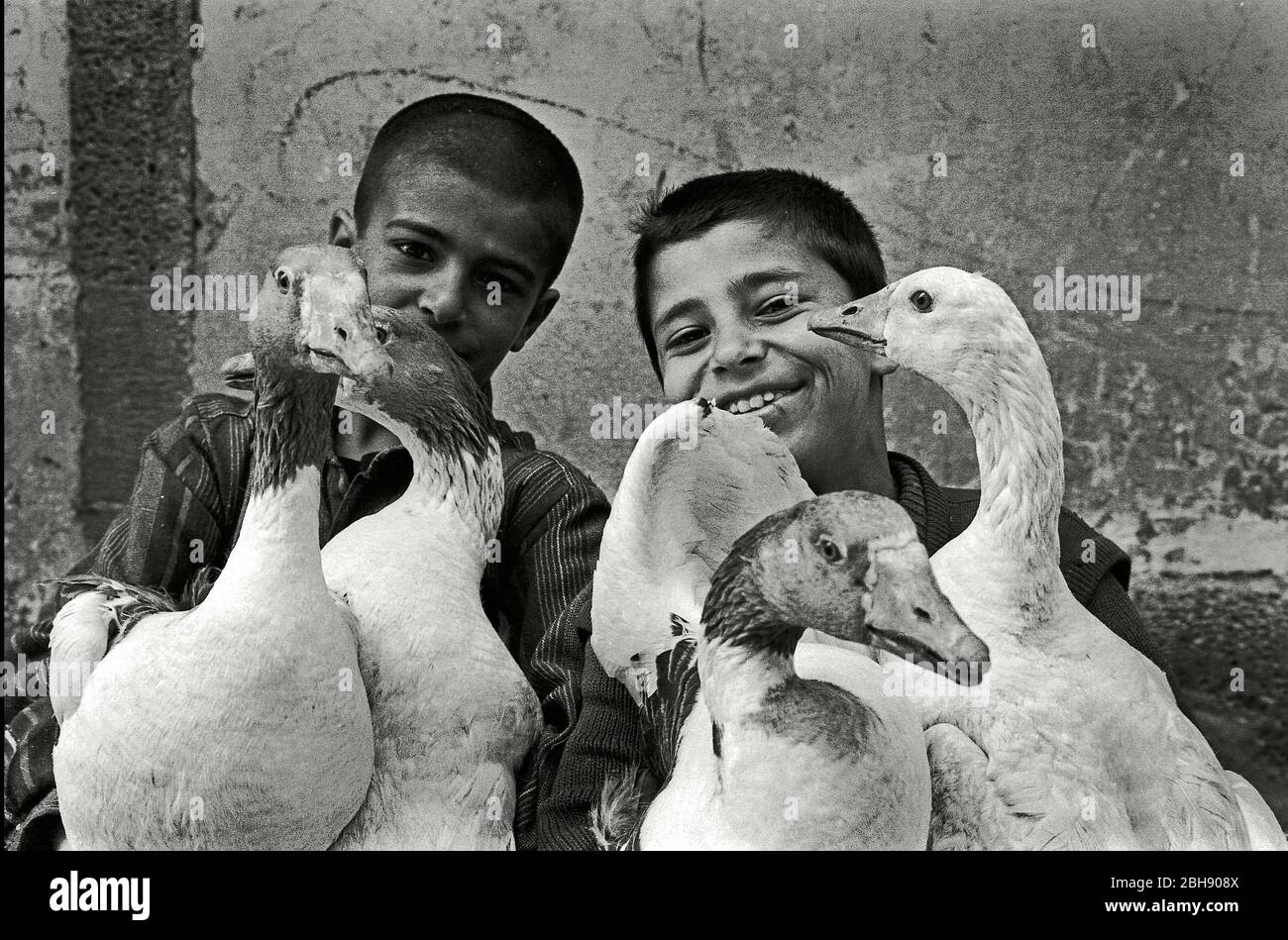 Children with geese hi-res stock photography and images - Alamy