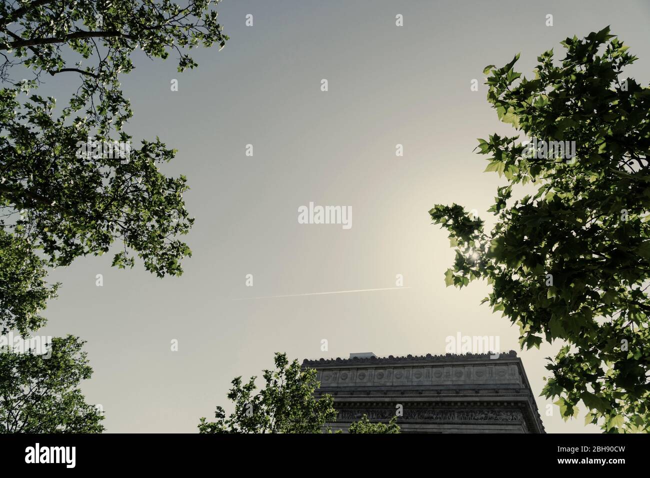 Trees arc hi-res stock photography and images - Alamy