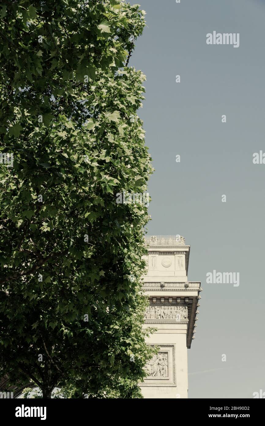 Arc tree hi-res stock photography and images - Alamy