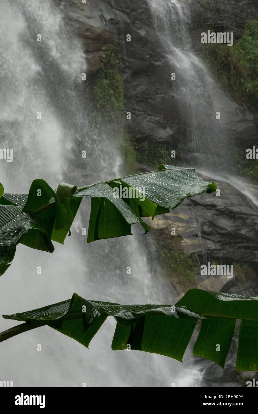 Waterfall in the rain Stock Photo - Alamy
