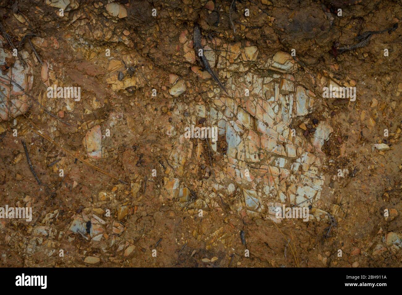 Loamy soil hi-res stock photography and images - Alamy