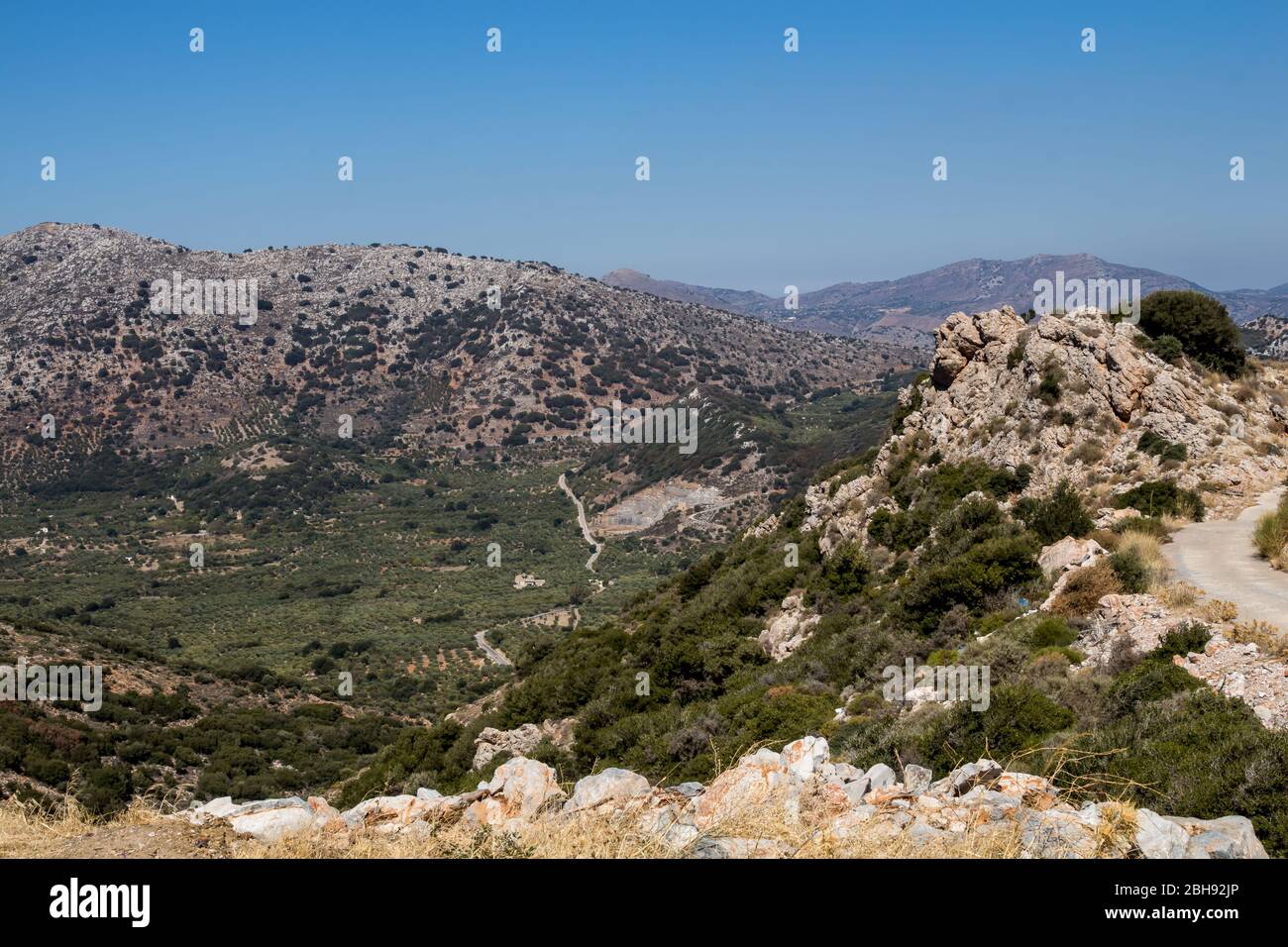 Vegetation green greece hi-res stock photography and images - Alamy