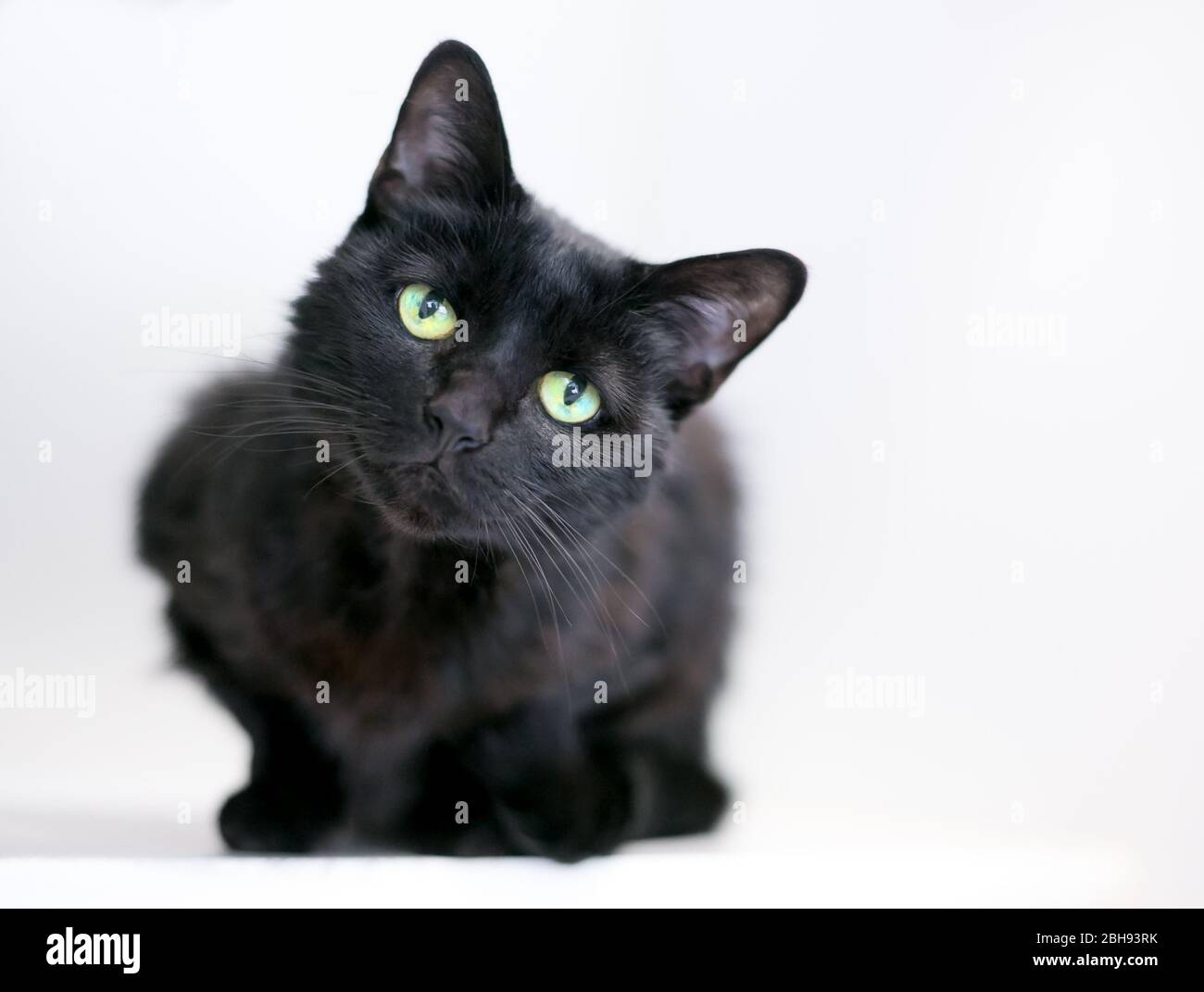 Crouched position hi-res stock photography and images - Alamy