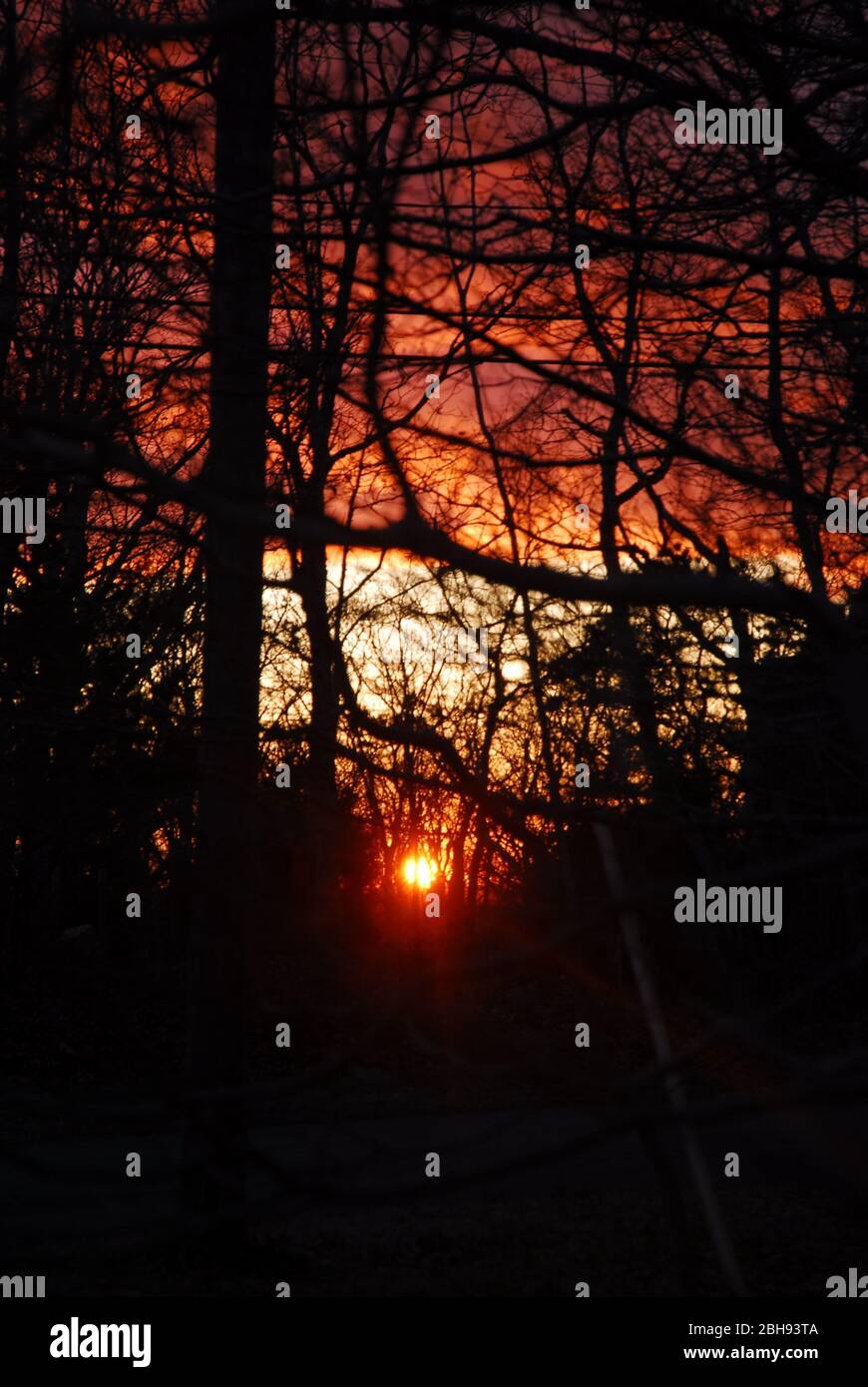 Silhouette trees sunset woods hi-res stock photography and images - Alamy