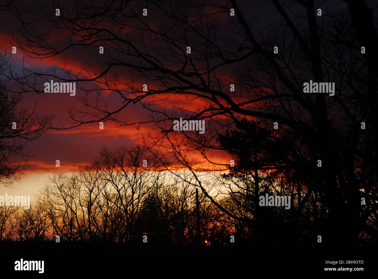 Woods and sunset hi-res stock photography and images - Alamy