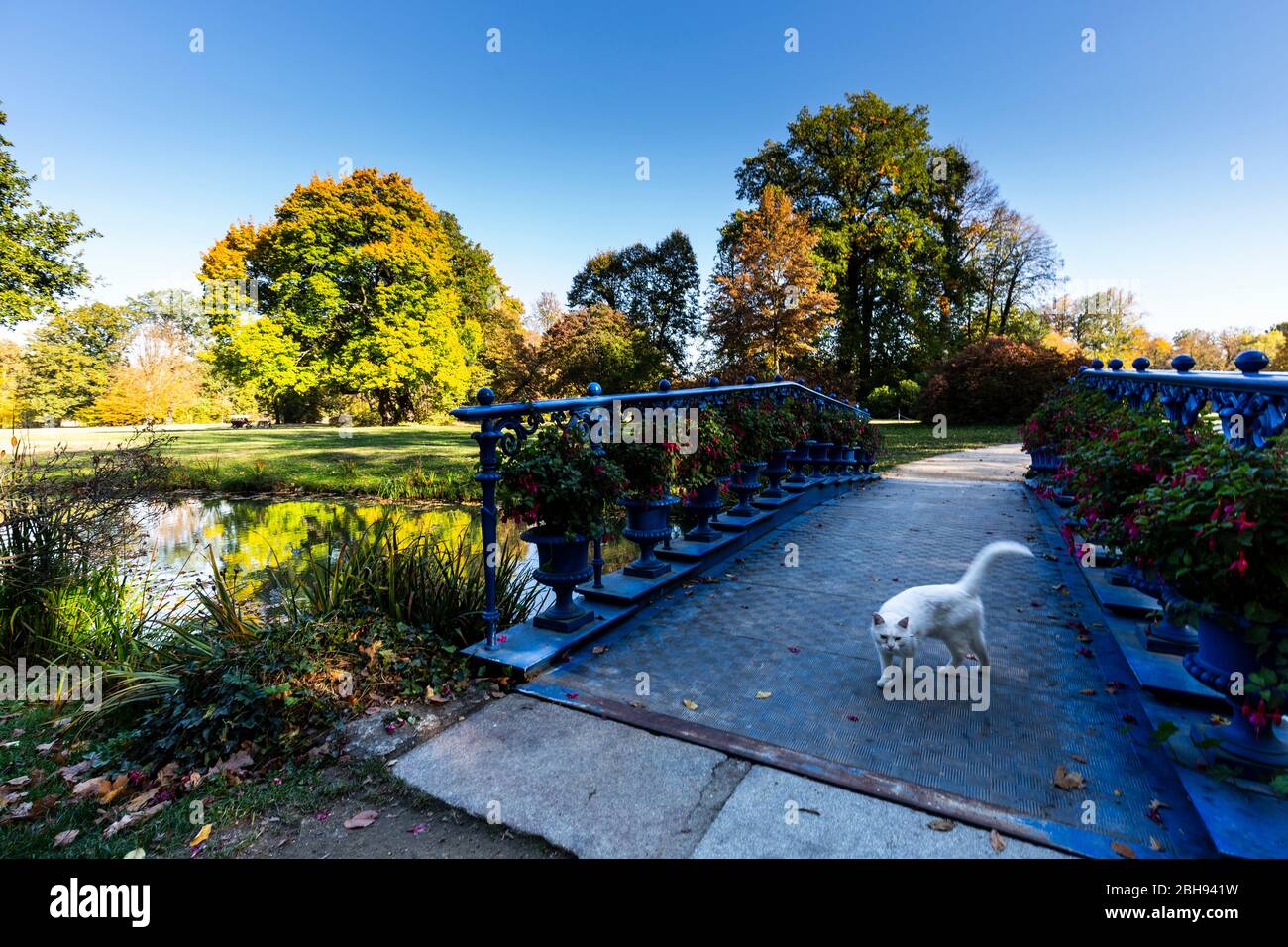 Europe, Germany, Muskau Park / Park Muzakowski / Muskauer Park Stock ...
