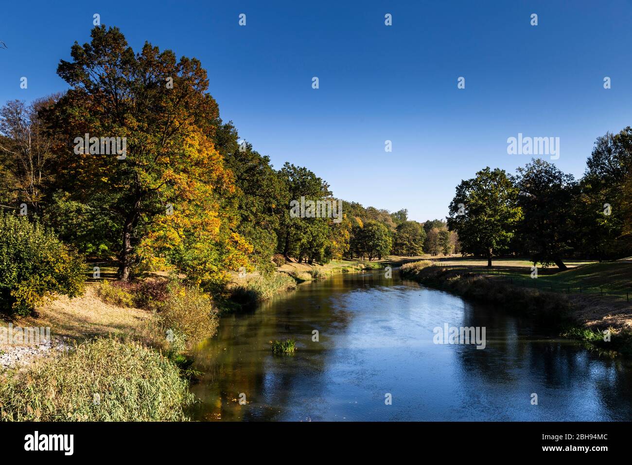 Europe, Germany, Muskau Park / Park Muzakowski / Muskauer Park Stock ...