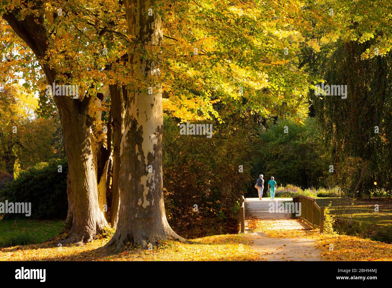 Europe, Germany, Muskau Park / Park Muzakowski / Muskauer Park Stock ...