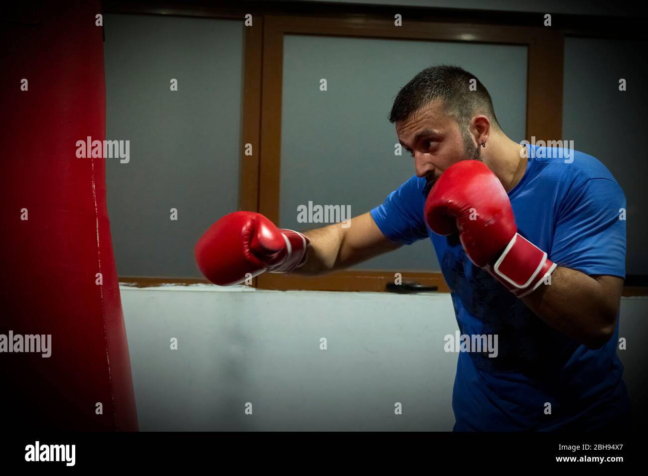 Side view of confident male boxer exercising in gym Stock Photo - Alamy