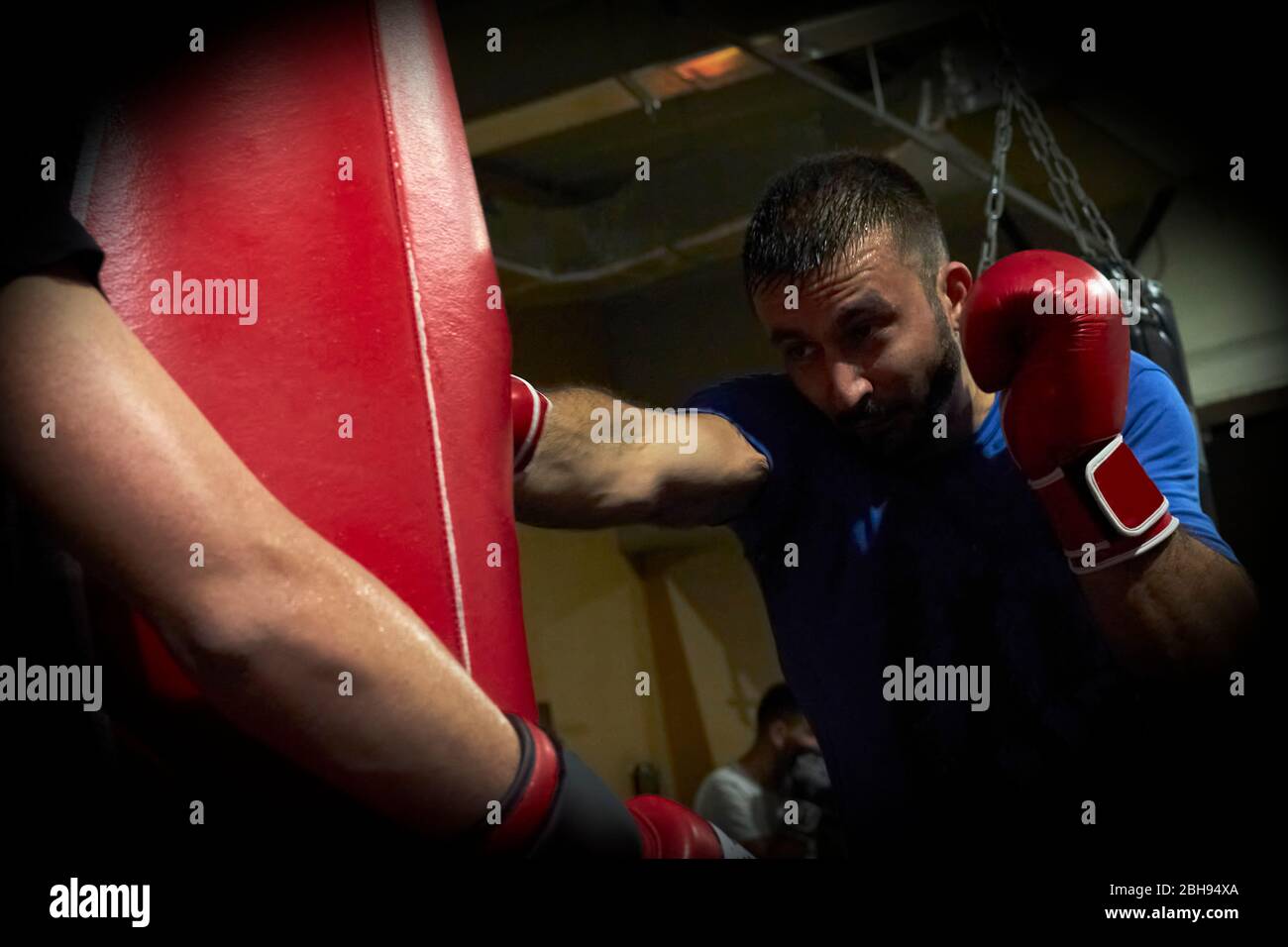 Male boxer hi-res stock photography and images - Alamy