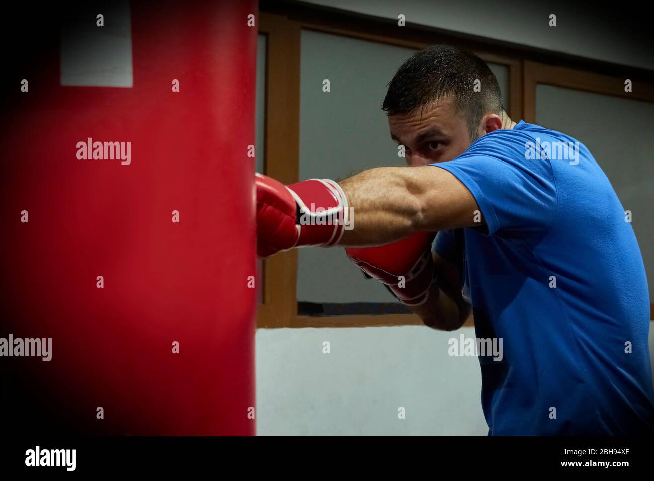 Side view of confident male boxer exercising in gym Stock Photo - Alamy