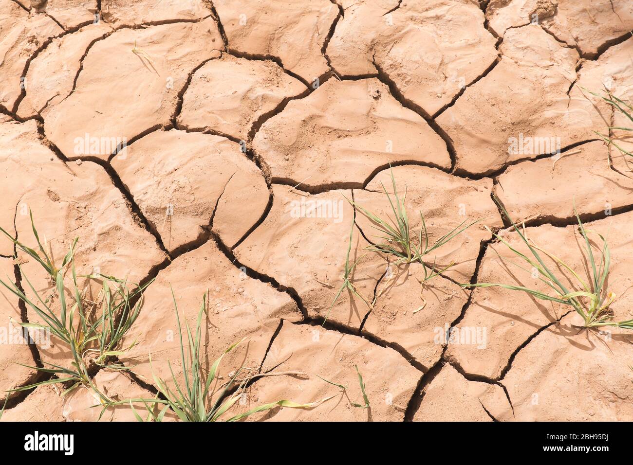 Arid soil hi-res stock photography and images - Alamy